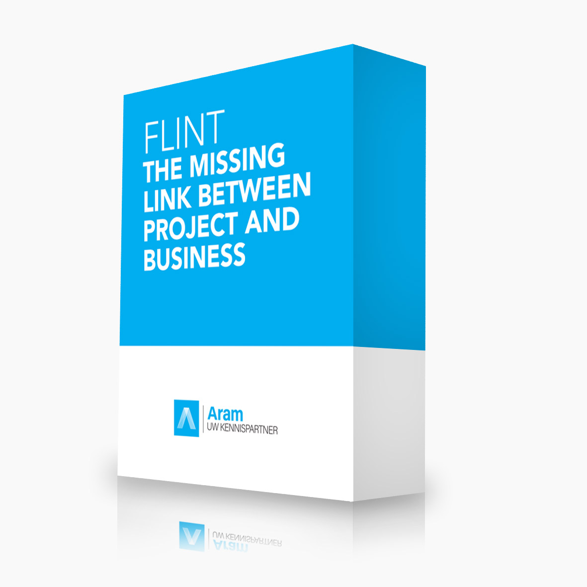 Software solutions - Aram your knowledge provider in project control